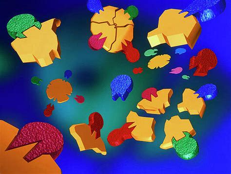 Enzyme Art For Sale Fine Art America