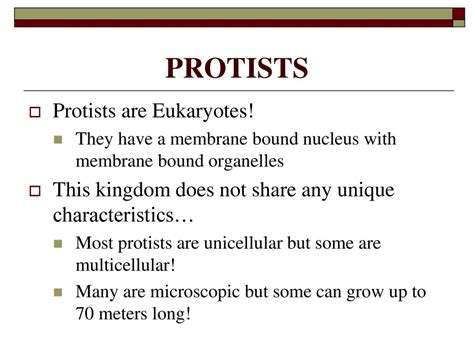 Evolution Of Protists Ppt Download