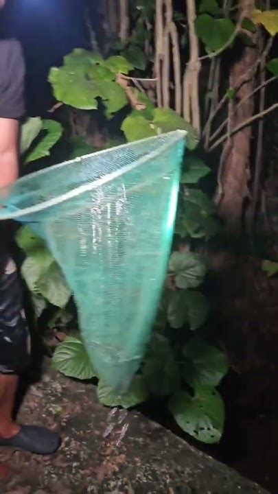 Village Fishing 🦈💥fishingmalayalam Keralafishing Traditionalfishing