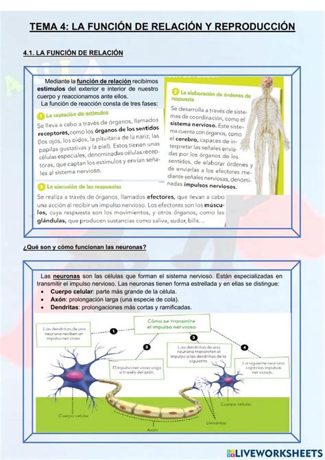 La función de relación online pdf worksheet