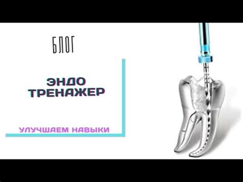 блог #27 тренажер для эндодонтии - YouTube