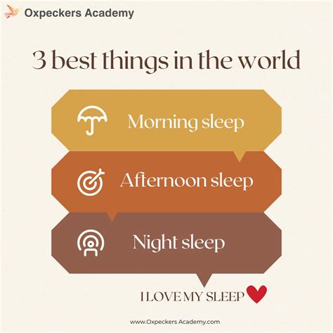 Oxpeckers Academy On Linkedin Sleepgoals Sleepislife Iheartsleep Sleepaddict Oxpeckersacademy