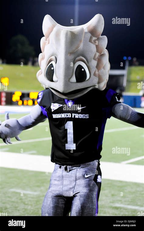 Sept 24 2010 Dallas Texas United States Of America Tcu Mascot