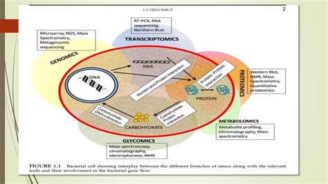 Omics Biotechnology Pptx Biotech And Biomedical Industry Industries