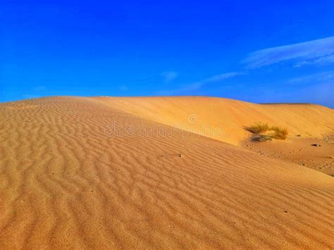 Sand Dunes Hill On Desert Amazing In Algeria Country Stock Image