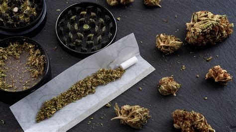 How To Roll A Joint With And Without A Filter Livwell