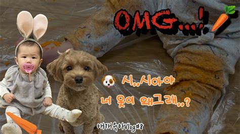 👶🏻🐶애개육아 Vlog 문센데이 촉감놀이 당근촉감놀이 제2의순두부인듯🤣 아기랑 강아지랑 옷에 당근물 빼는법 아시는분🥲 Youtube