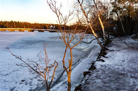 무료 이미지 경치 나무 자연 통로 분기 눈 겨울 다리 햇빛 아침 잎 호수 서리 강 얼음 반사