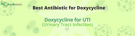 Doxycycline For UTI Urinary Tract Infection