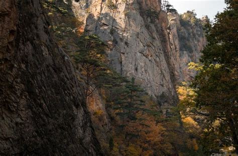 雁落平沙，烟笼寒水，古垒鸣笳声断是什么意思？ 考动力