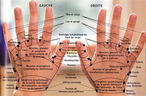 17 Best Images About Reflexology On Pinterest Pressure Points Ear