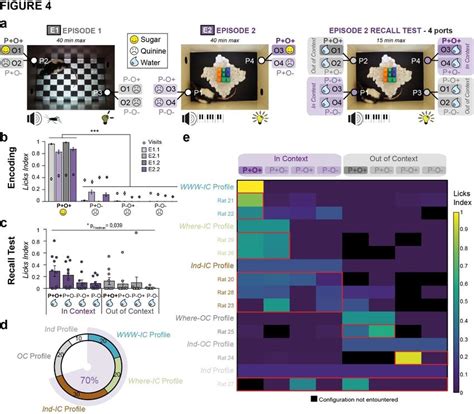 remote episodic recollection is sensitive to interference but certain