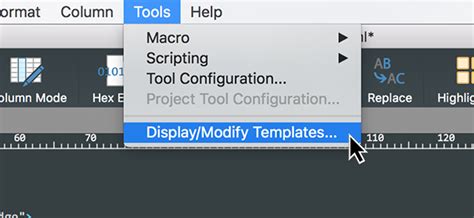 custom user defined templates ultraedit powertips