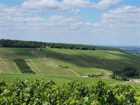 Vititours Balade en trottinette électrique La Bourgogne