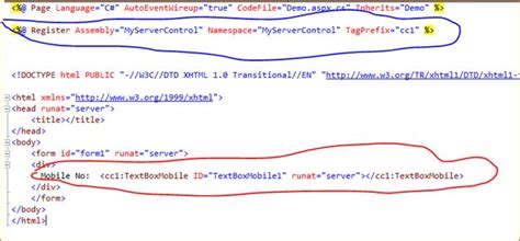 ASP Net Server Control