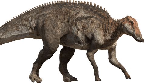 Duck Billed Dinosaurs Edmontosaurus Jurnal Ku