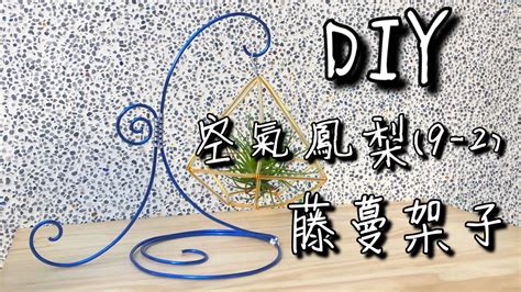 Diy Wire How To Make Aluminum Wire Air Plant Vine
