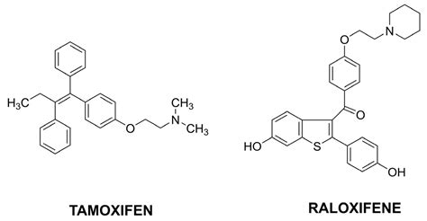 Pharmaceutics Free Full Text Chitosan Based Nanoparticles With