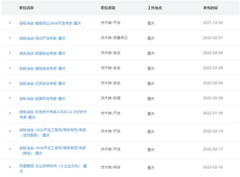 Programmer Look At Chinachongqingmd At Main · Csguide Dabai