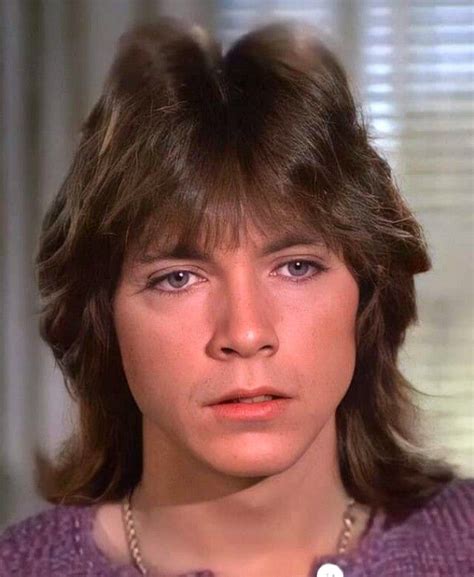 David Cassidy As Keith Partridge