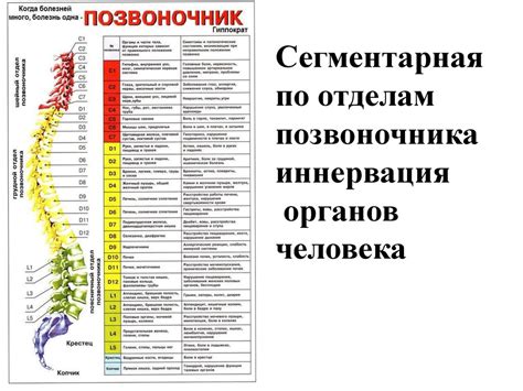 Средство домашней физиотерапии от компании АРГО. Сиденье-тренажер ...