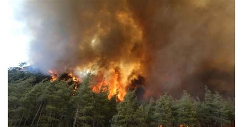 Мълния е причинила големия пожар в Рила борбата с огъня продължава