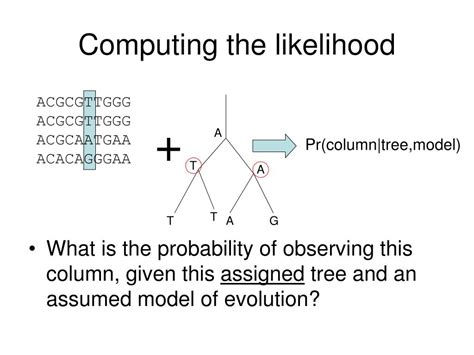 Ppt Inferring Phylogenetic Trees Distance And Maximum Likelihood Methods Powerpoint