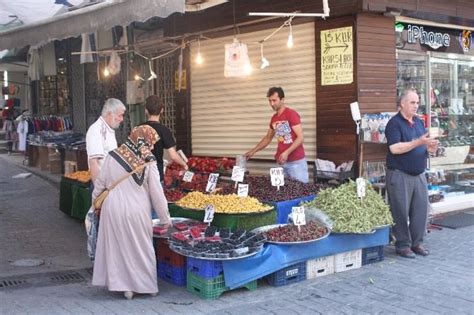 Özel Haber Yolu Sormadan Bulana Bedava Çilek Bursa Haberleri
