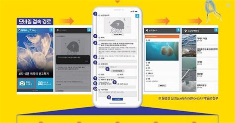 6월부터 해파리 발생 예상…해수부 어업피해 방지 대책