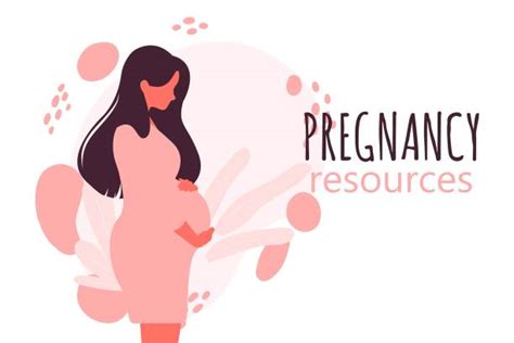 90 Placenta Cartoons Ilustraciones De Stock Gráficos Vectoriales