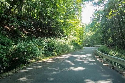 日本で唯一の隕石クレーターと天空の里へ続く道長野県飯田市上村遠山郷の御池山林道を巡る Y 山側