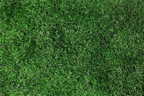 Images De Texture Herbe Verte Téléchargement Gratuit Sur Freepik