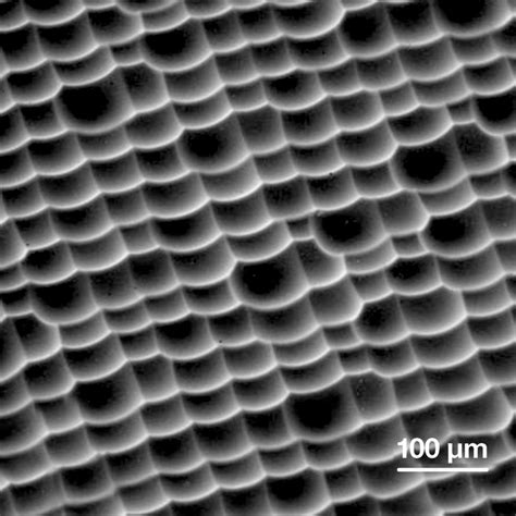 Polymer Engineered Diffusers