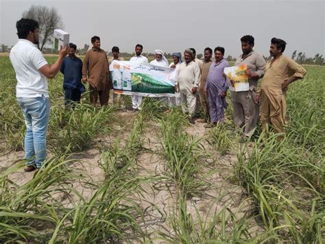 Field Day On Sindaxmox 350ml500ml Muhammad Jawad Asghar