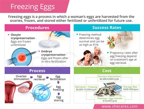 Freezing Eggs Shecares