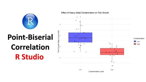 Point Biserial Correlation In R Step By Step Tutorial With Full R Code Youtube
