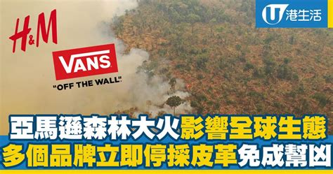 亞馬遜森林大火影響全球生態氣候！handmvans多個品牌停止採購巴西皮革免成幫凶 Uhk 港生活