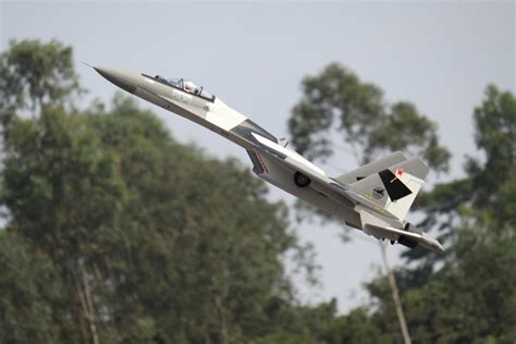 Freewing Su 35 Gray Camo Twin High Performance 70mm Edf Thrust