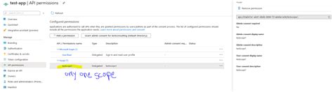 Net Core MSAL Application Can Request Permission Even If It S Not Configured In API