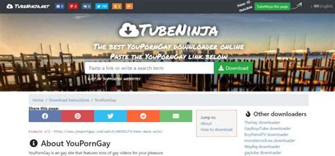 Youporngay Downloader Review