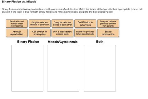 Binary Fission Vs Mitosis Binary Fission And Mitosiscytokinesis Are