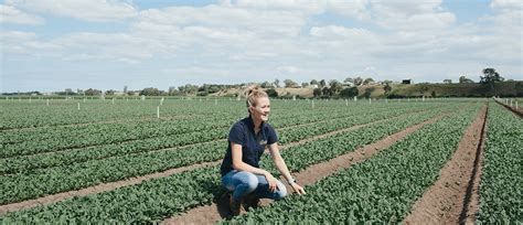 New Edition Of Vegetables Australia Gives Food For Thought About Veg