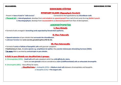 Solution Apud Cells Dnes Neurohypophysis Endocrine System Histo