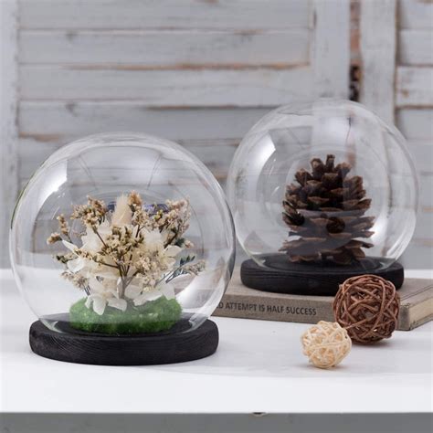 6 Inch Clear Glass Terrarium And Keepsake Display Globe Cloche With Bl Myt
