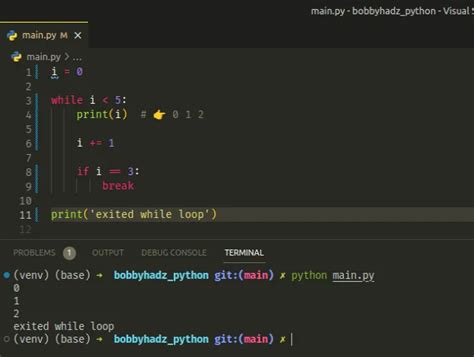 Syntaxerror Break Outside Loop In Python Solved Bobbyhadz