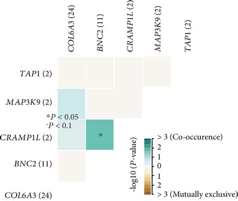 mutation correlation analysis a b mutation landscape of the top 30