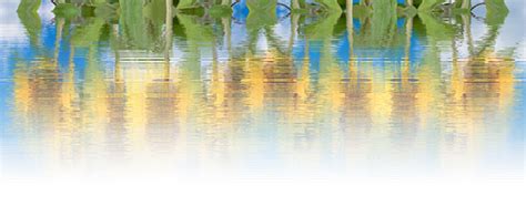 Scholarships — The Marley Stainer Foundation