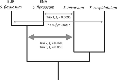 Abba Baba Statistics Analysis The Double‐headed Arrows Represent The