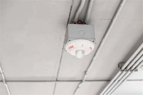 8 Best Types Of Motion Sensors To Enhance Security 2024