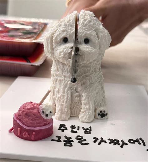 더쿠 주인님 그놈은 가짜에요